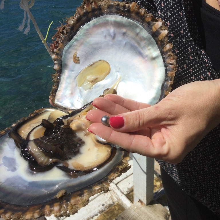 Fiji Pearls 2017 - The World of Pearl