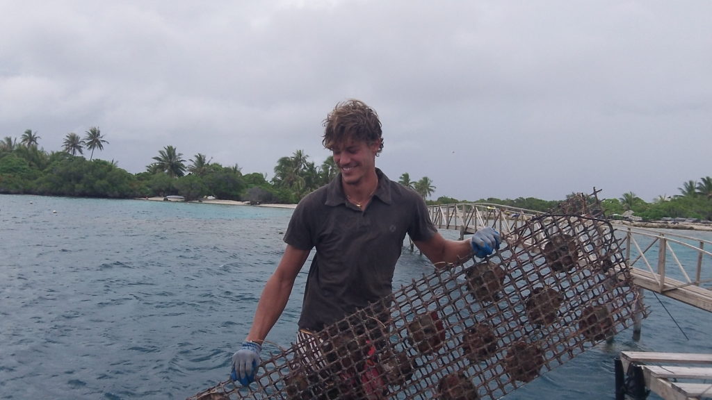 Travel Tips - French Polynesia - The World of Pearl